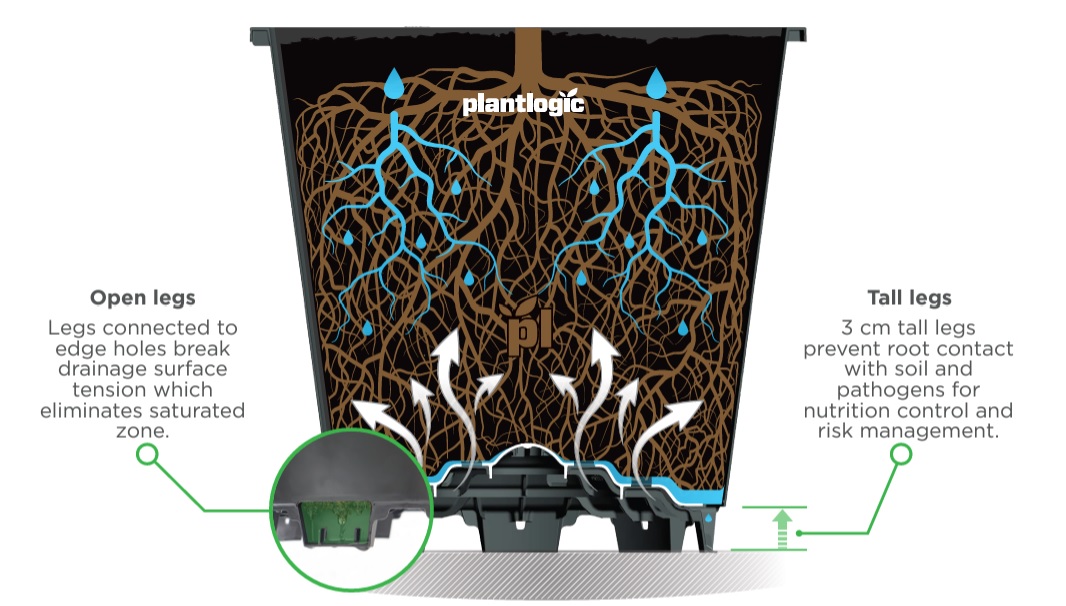plantlogic pots for blueberries - Plantlogic