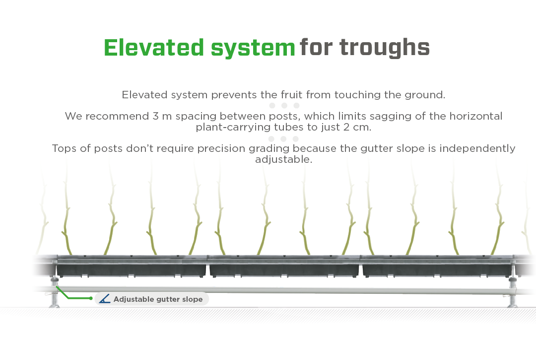 elevated system trough version for hydroponic tomatoes - Plantlogic